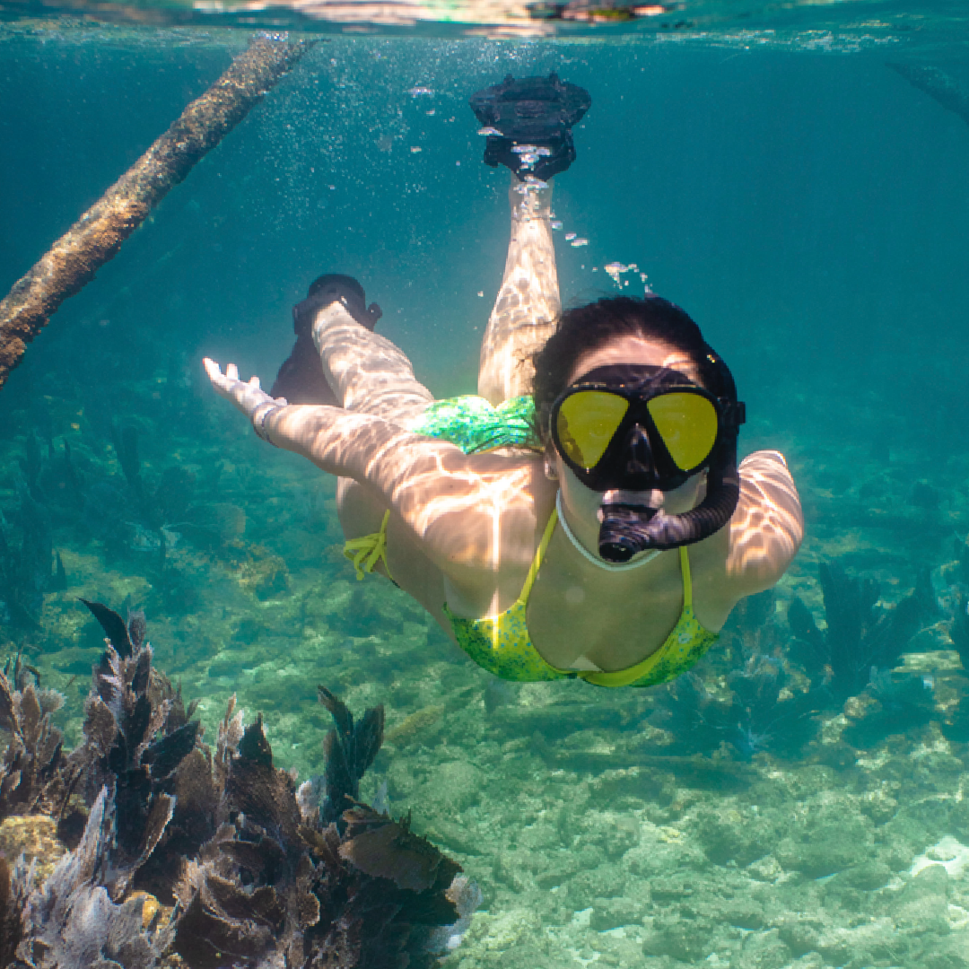 Best Goggles For Ocean Swimming Collection – GUARDIAN WATER SPORTS